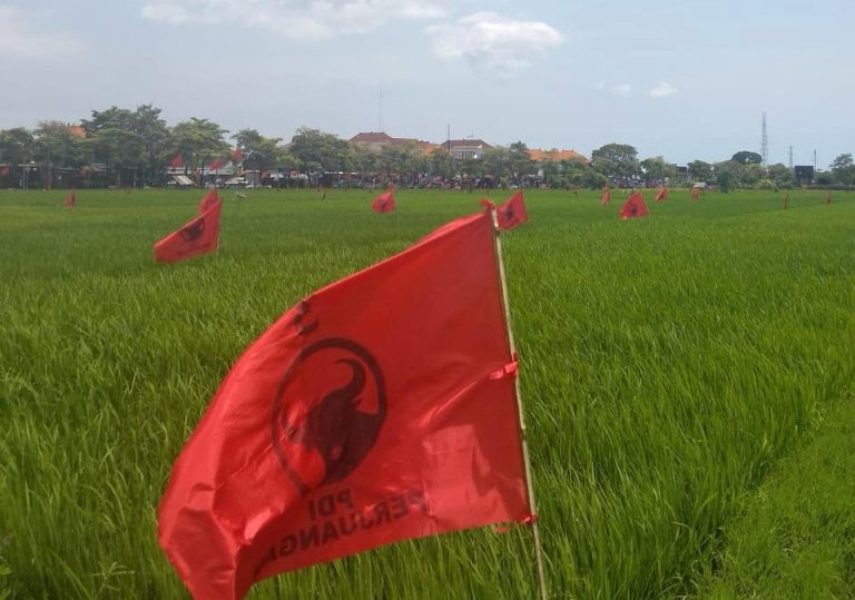 Bendera PDIP Berkibar di Sawah, Sekretaris DPC Badung: Inisiatif Petani